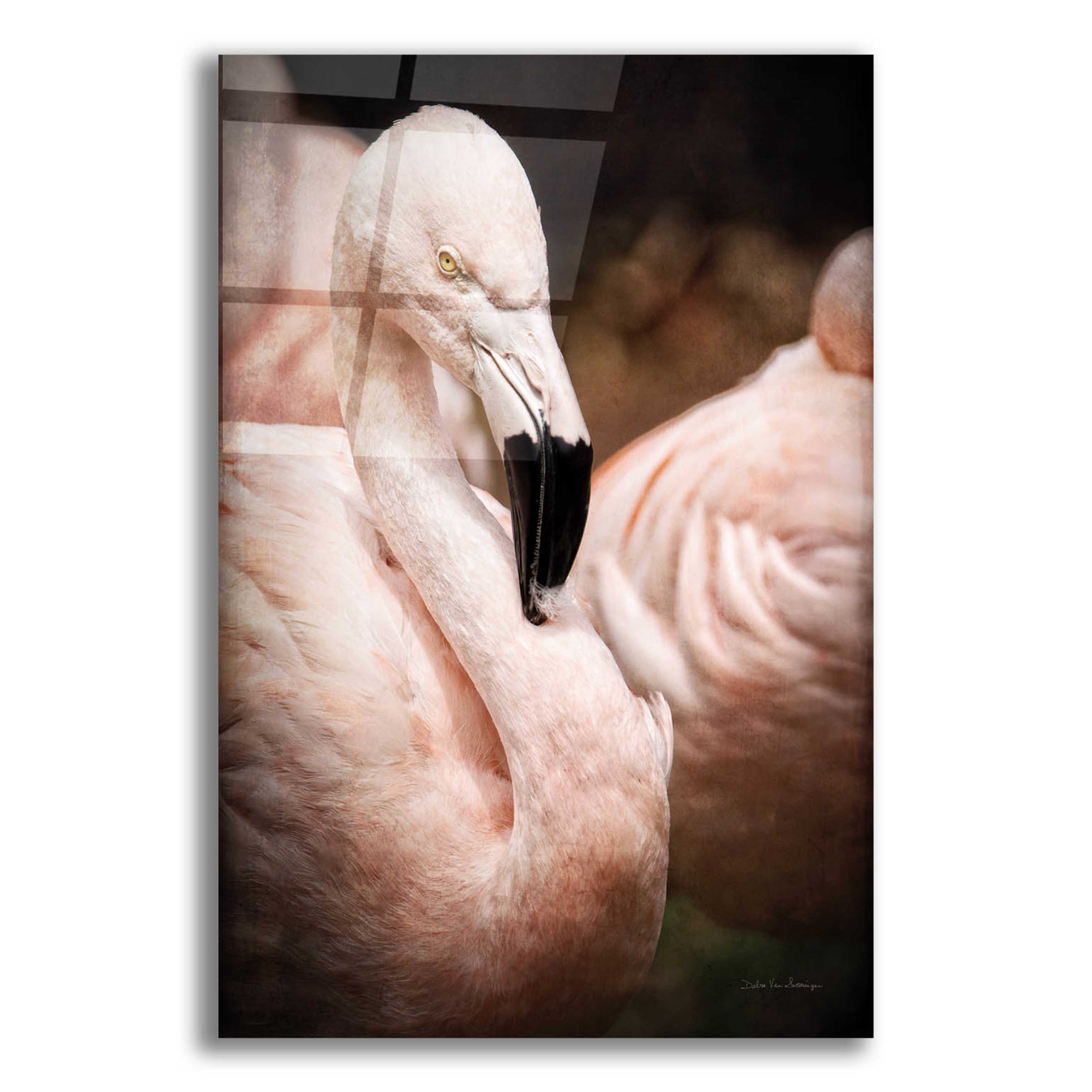 Bay Isle Home™ Chilean Flamingo II by Debra Van Swearingen - Unframed ...