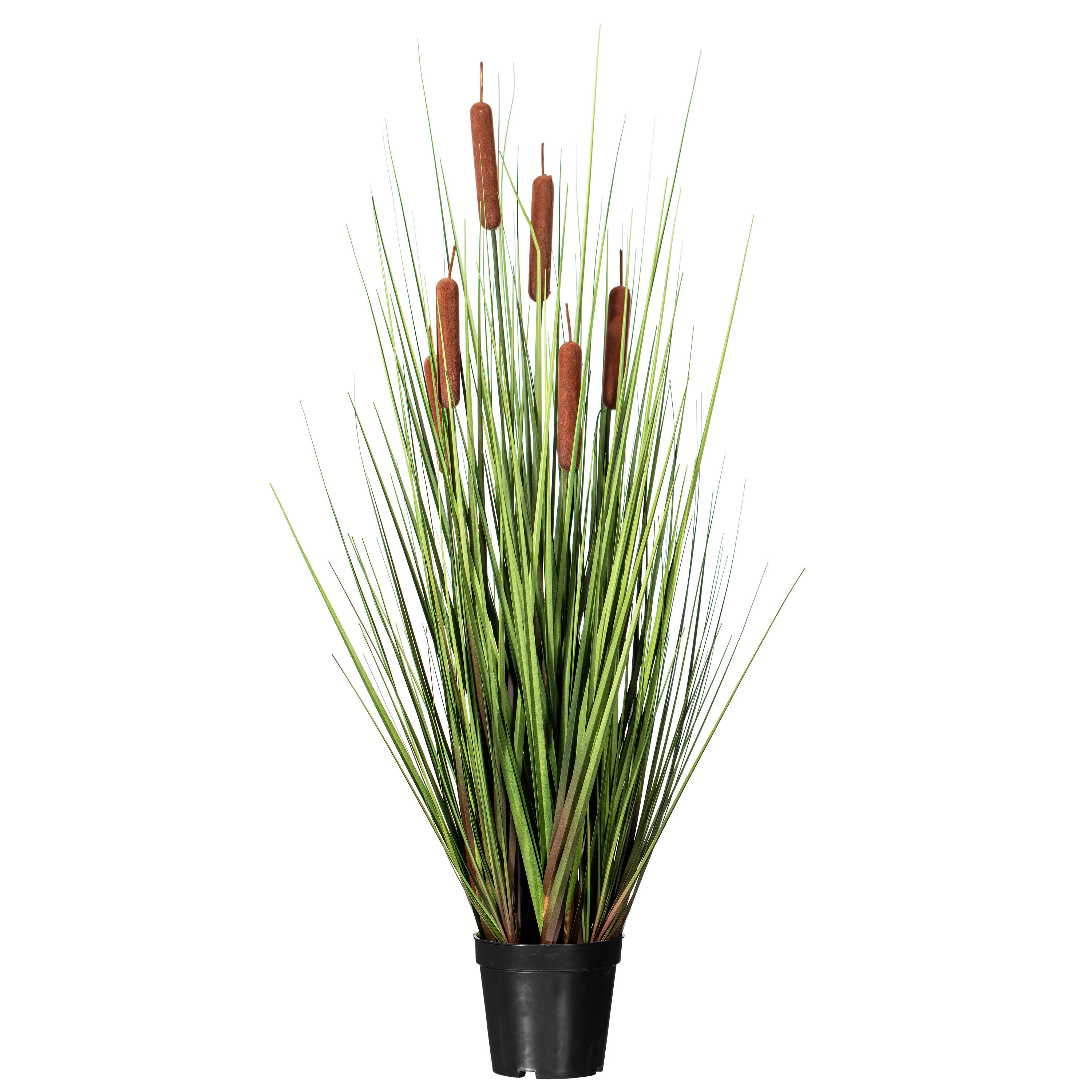 Primrue 36" Artificial Potted Green Straight Grass and Cattails ...