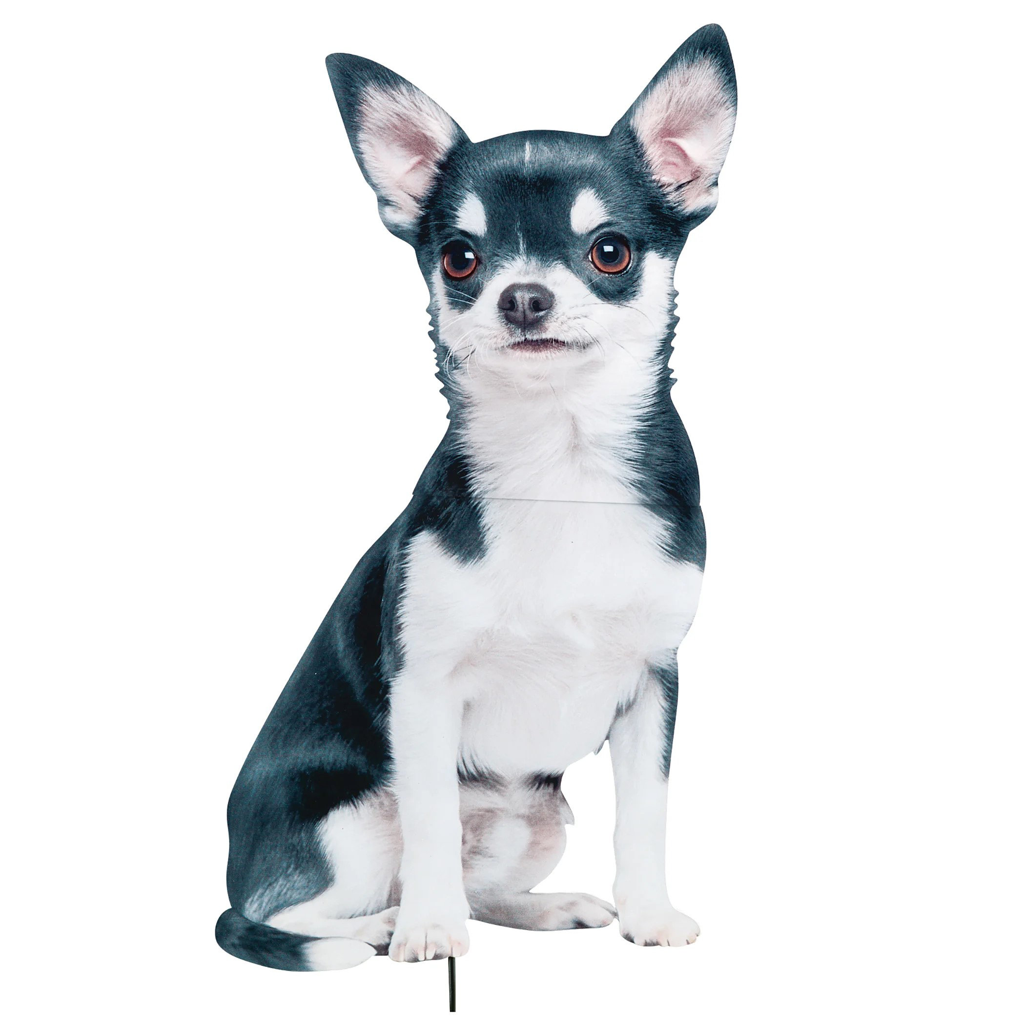 Gracie Oaks Realistic Chihuahua Outdoor Garden Stake | Wayfair