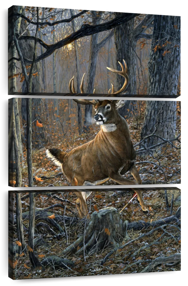 Ebern Designs Brampt Buck Fever - Wayfair Canada