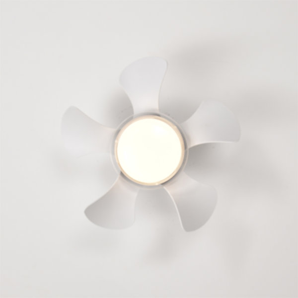 Wrought Studio 21 Inch Ceiling Fan With 3 Color Temperatures Light And ...
