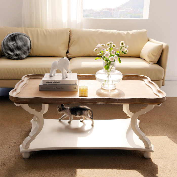 Ophelia & Co. Plaisance Rustic Farmhouse Cottage Core Coffee Table ...