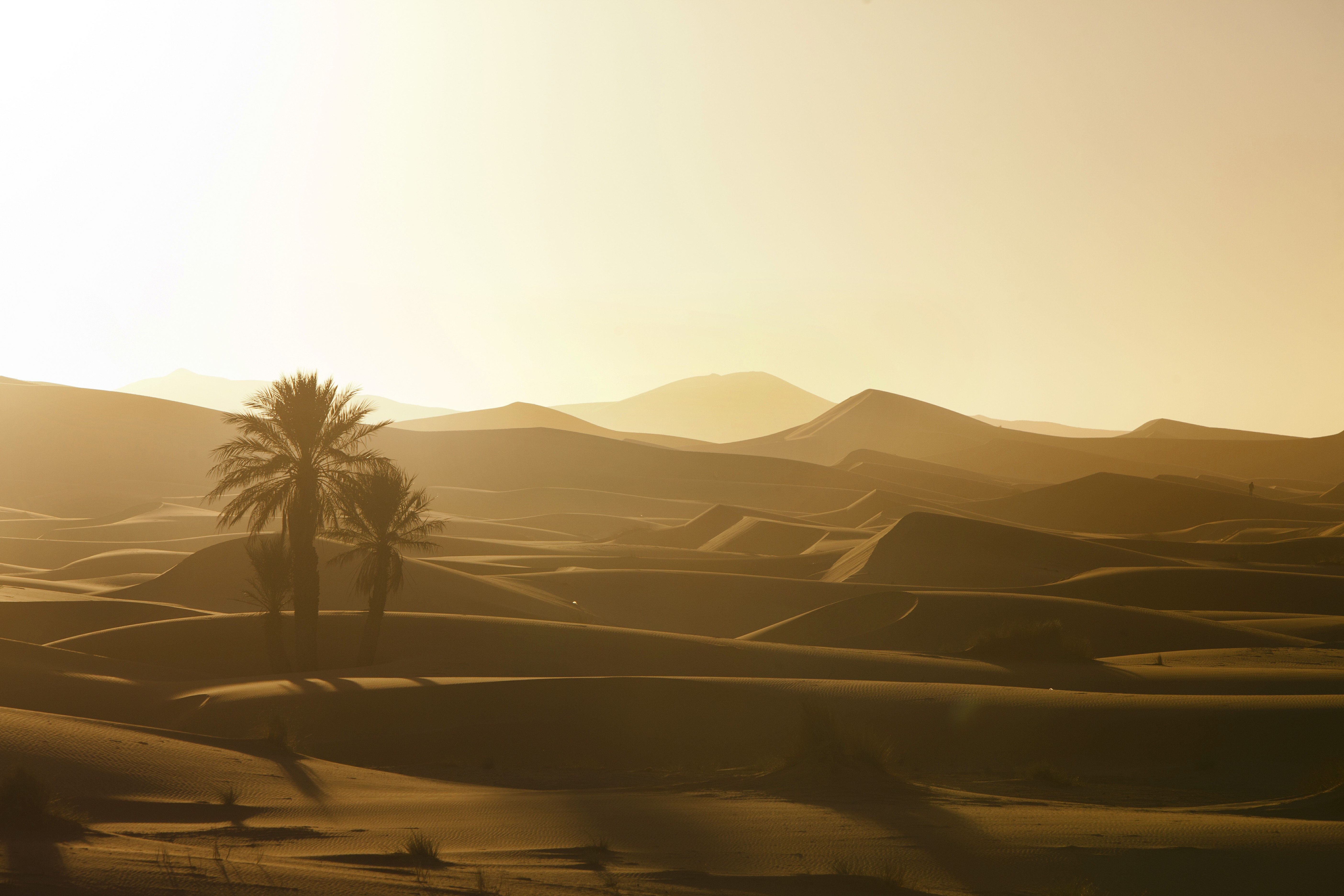 Union Rustic Sunset in the Desert by Plprod - Wrapped Canvas Photograph ...