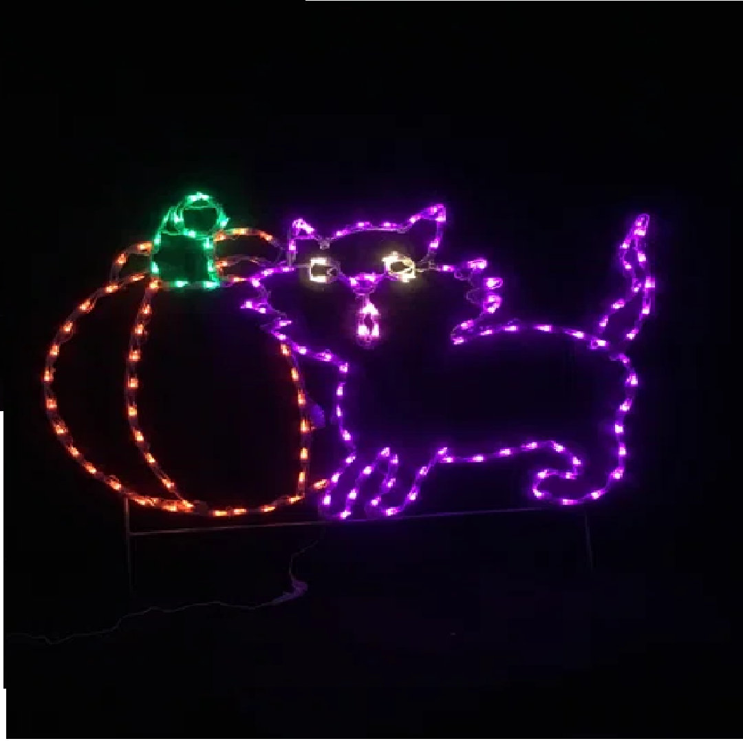 Lori's Lighted D'Lites Cat with Pumpkin Halloween Holiday Lighted ...