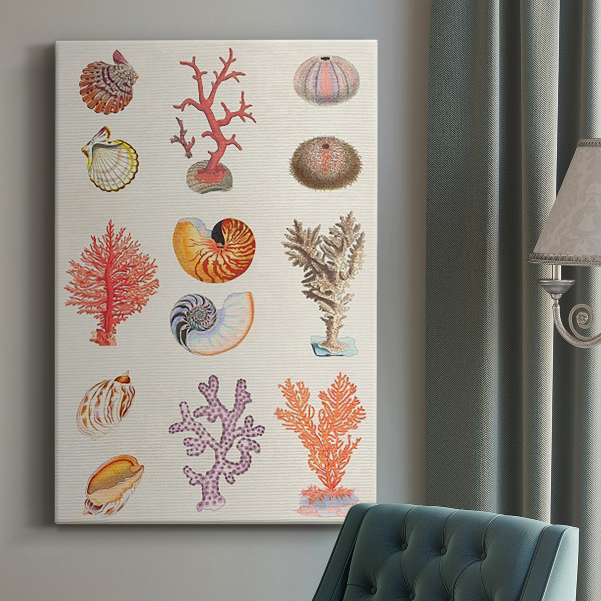 Dovecove Coral & Shell Collage I On Canvas Painting | Wayfair