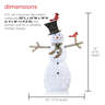 The Holiday Aisle® Snowman Lighted Display & Reviews | Wayfair
