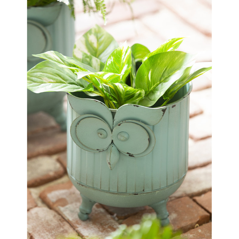 Sol 72 Outdoor™ Cloninger Owl 2 Piece Indoor/Outdoor Pot Planter Set ...