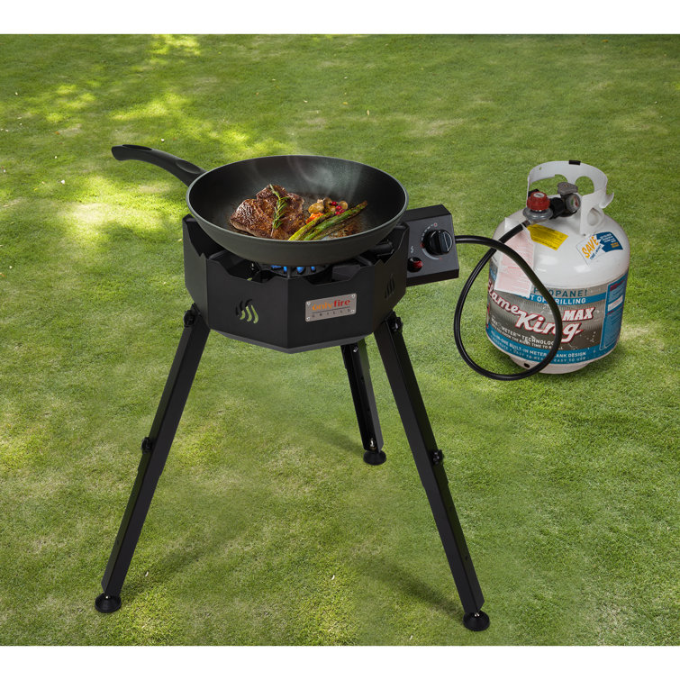 Hitechluxe Propane Gas Stove with Adjustable Removable Legs - Wayfair ...