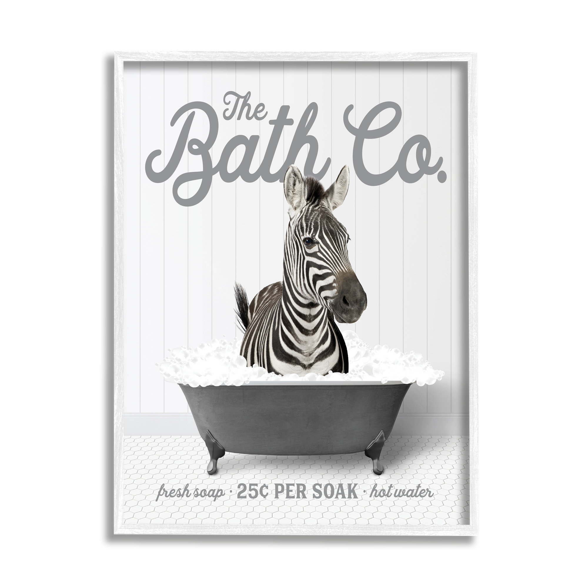 Trinx Bubble Bath Zebra Framed Giclee Art Design By Lettered And Lined ...