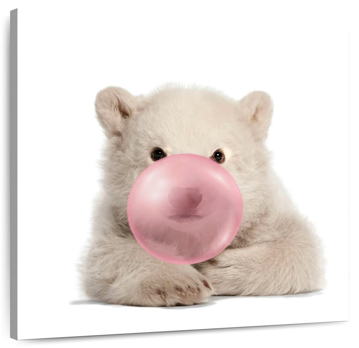 Elephant Stock Polar Bear Bubble Gum | Wayfair