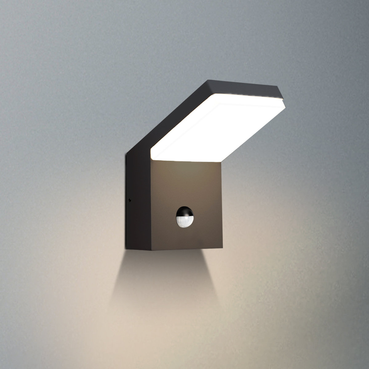 Latitude Run® Wall Light Outdoor LED Wall Mount Lamp Wall Sconce ...
