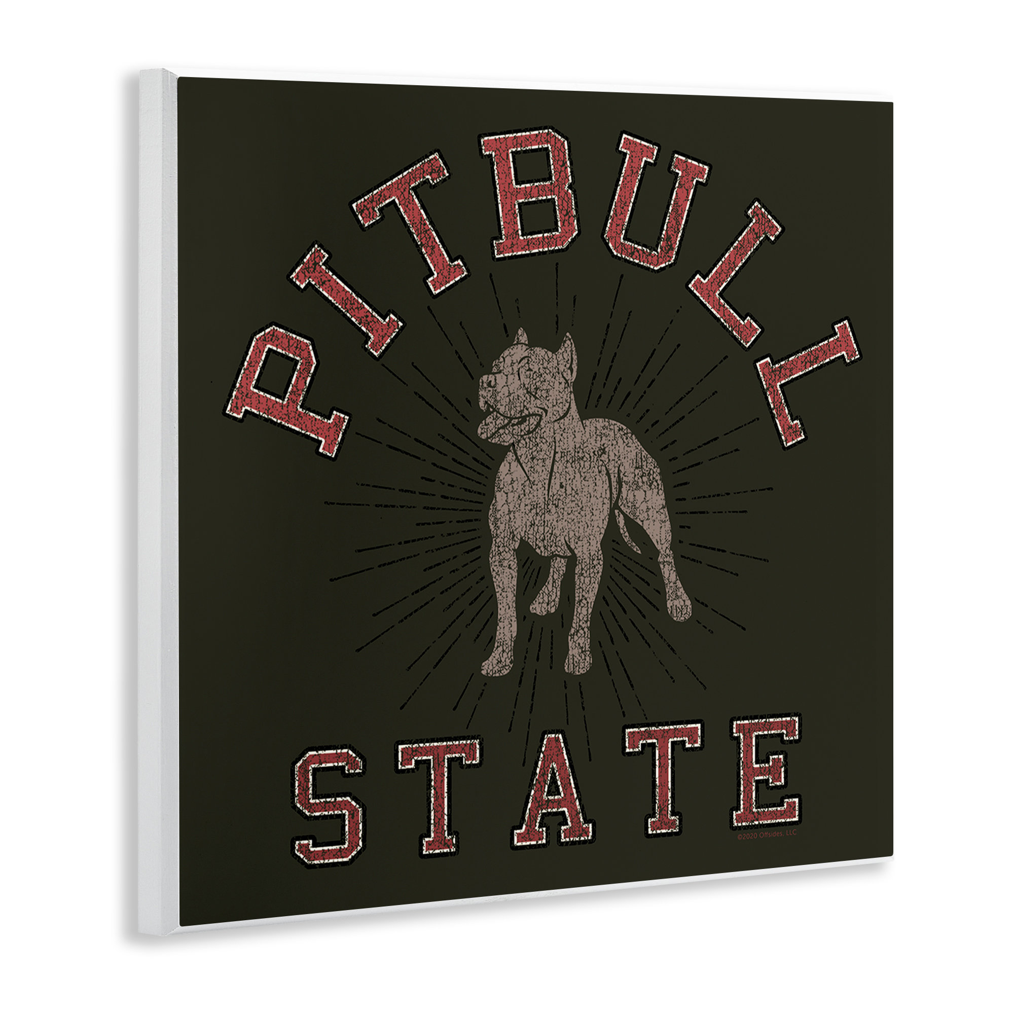Ophelia & Co. Vintage Pitbull State Wall Plaque Art by Spirit Animals ...