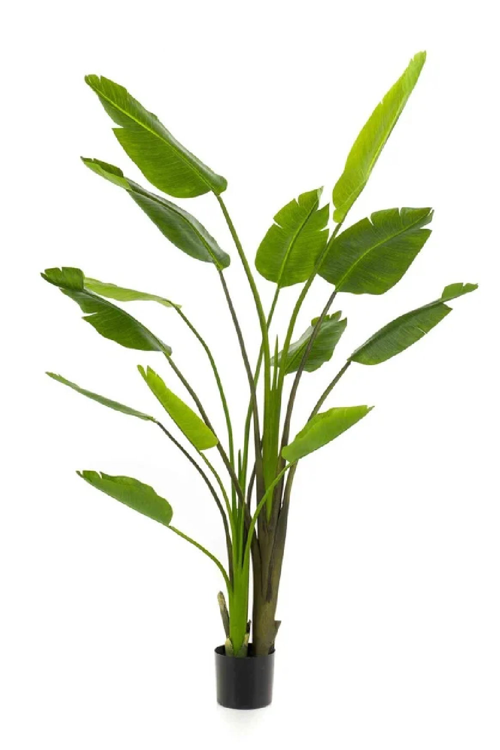 Emerald Eternal Green 71" Artificial Banana Leaf Tree in Pot Liner ...