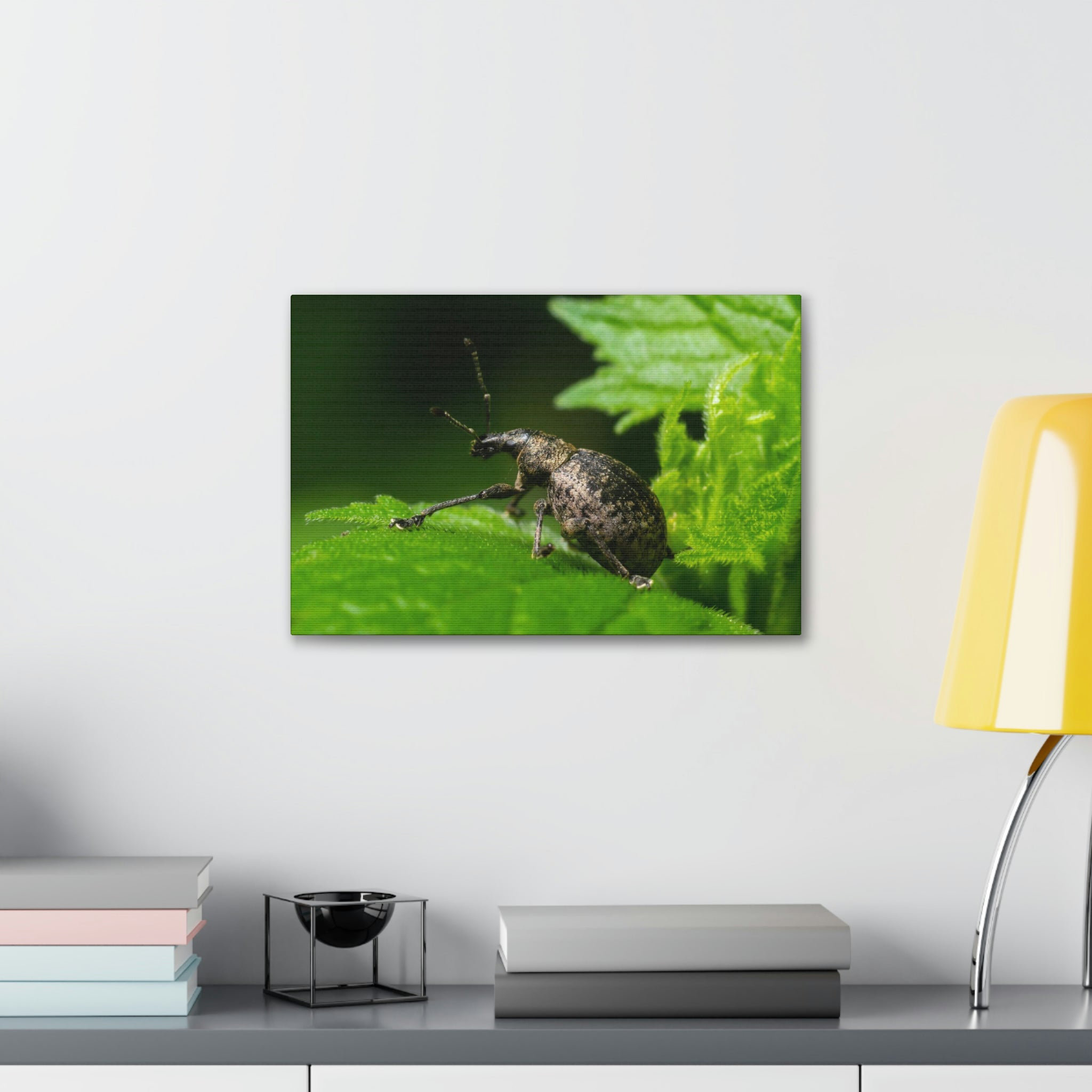 Latitude Run® Majestic Weevil Art Majestic Weevil Print Animal Wall Art ...