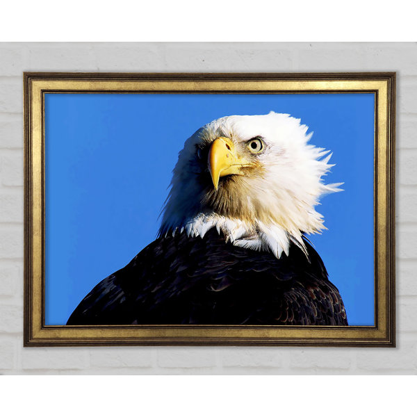 Union Rustic Eagle Stare - Single Picture Frame Art Prints | Wayfair.co.uk