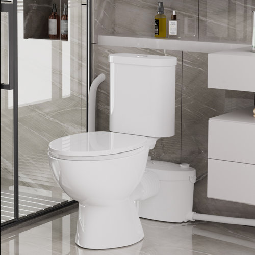 Toilet | Wayfair