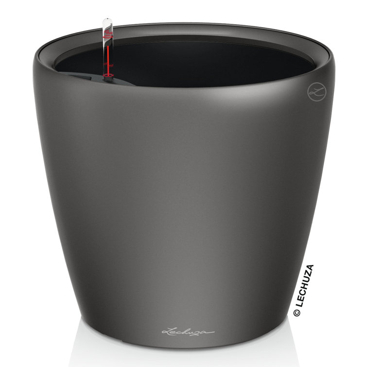 Lechuza Classico Pot Planter & Reviews | Wayfair.co.uk