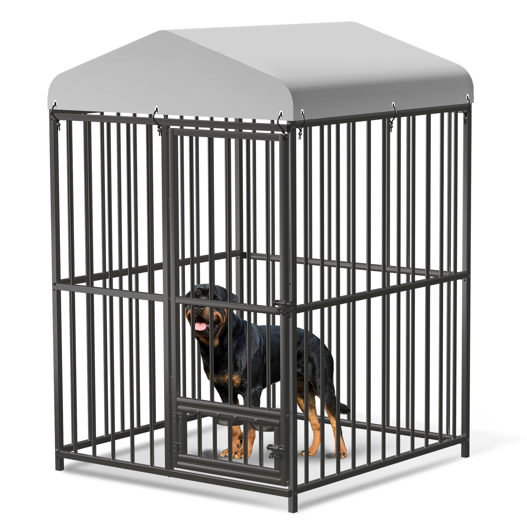 Fashionwu Iron Yard Kennel | Wayfair