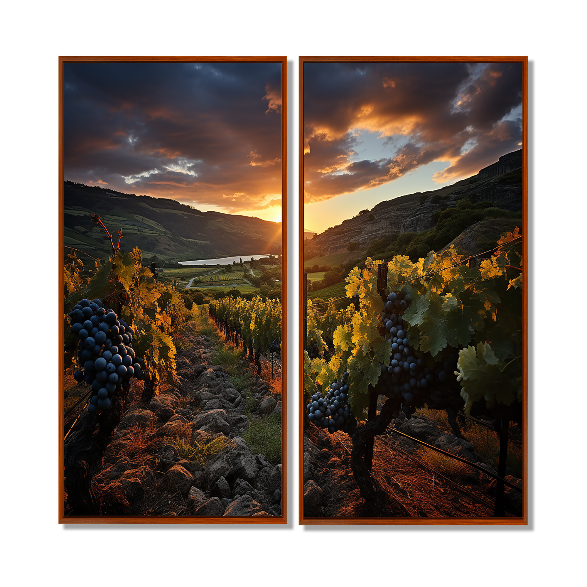 Millwood Pines Scenic Impressive Vineyard - Large Vineyard Wall Art ...