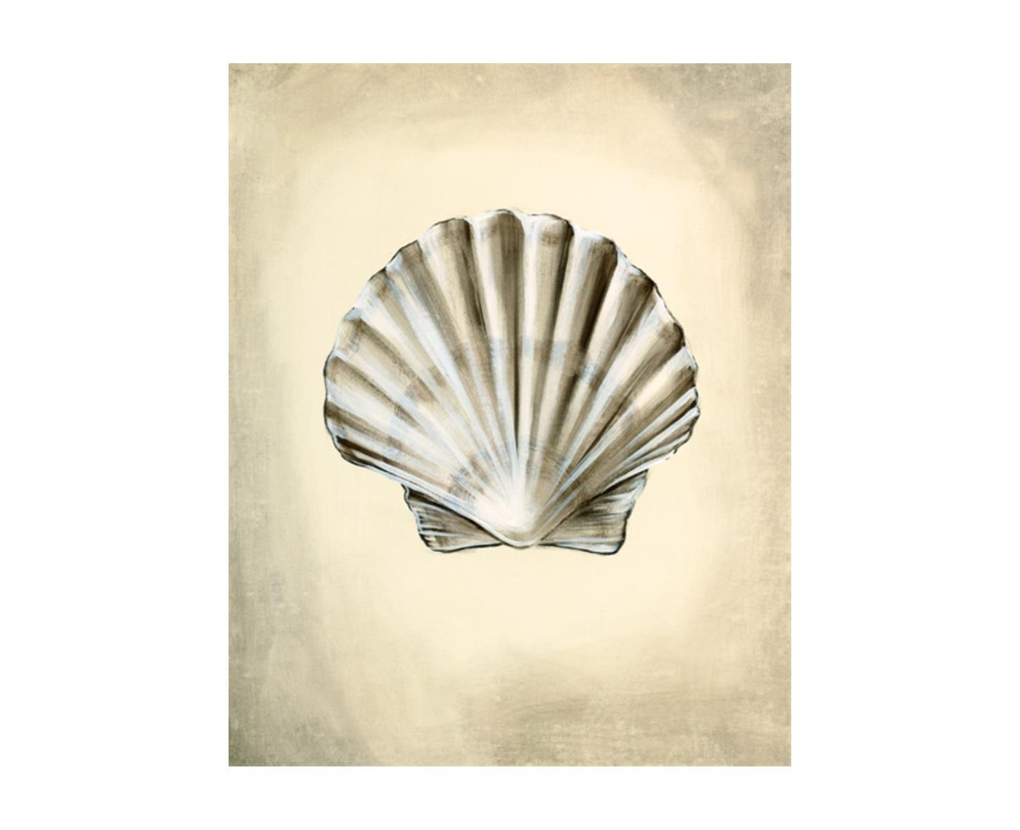 Chelsea Art Studio Seashells IV by Sydney Edmunds - Graphic Art | Wayfair