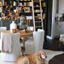 Lark Manor™ Akeil Brown/Gray Atticus Bust & Reviews | Wayfair