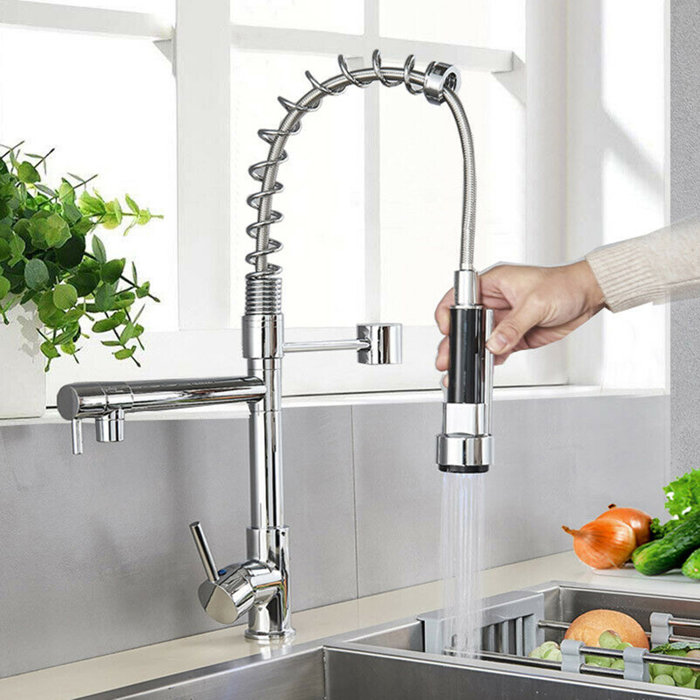 Belfry Kitchen Valdez Pull Out Single Lever Monobloc Tap & Reviews ...