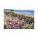 ClassicLiving Springtime Dream - Wrapped Canvas Painting | Wayfair.co.uk