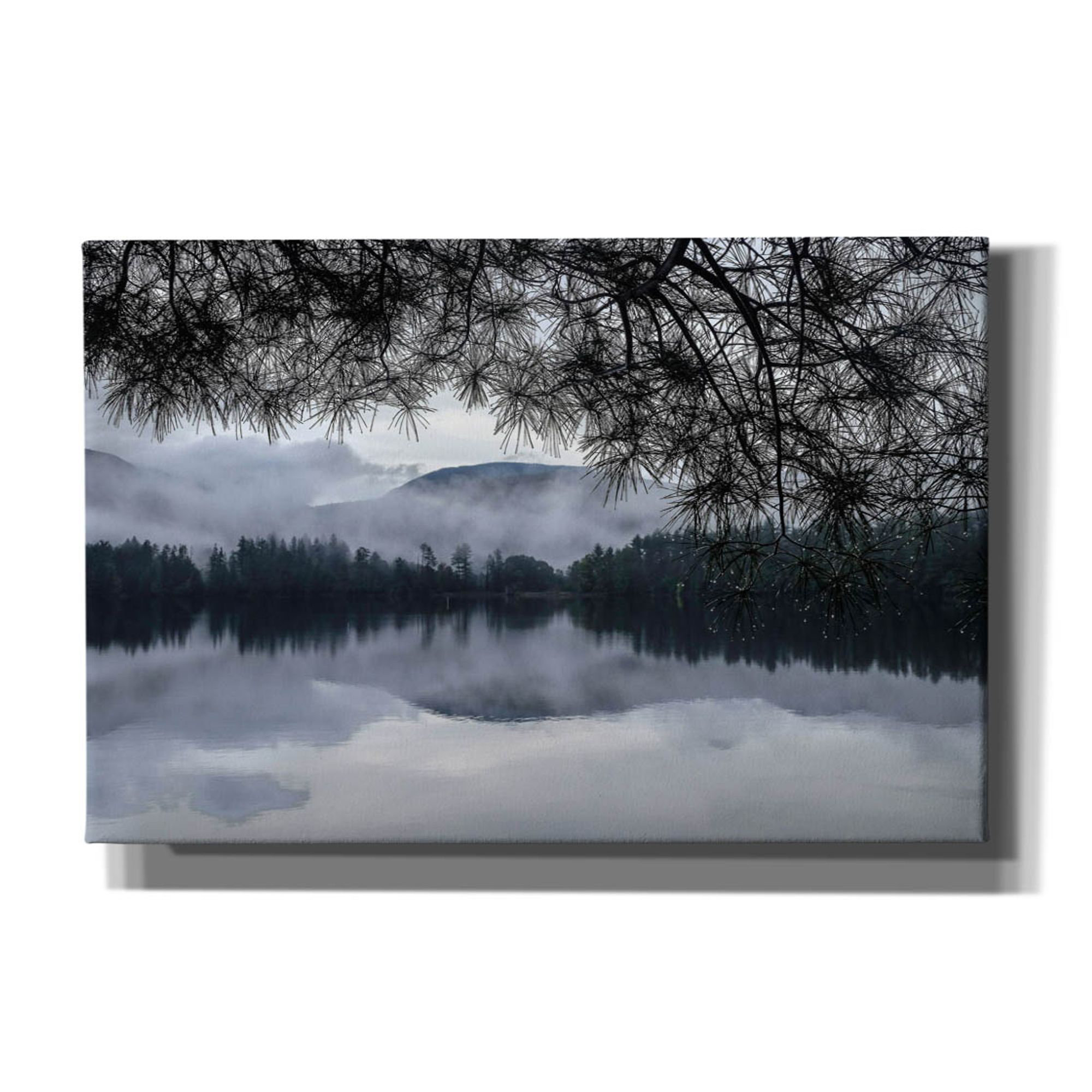 Millwood Pines Avnee Red Ferns On Canvas by Kelly Sinclair Print | Wayfair