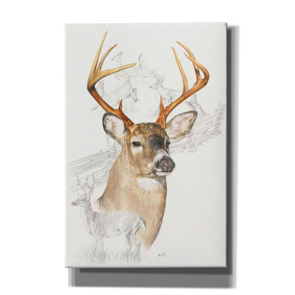 Millwood Pines Epic Graffiti 'White Tailed Deer' By Barbara Keith ...