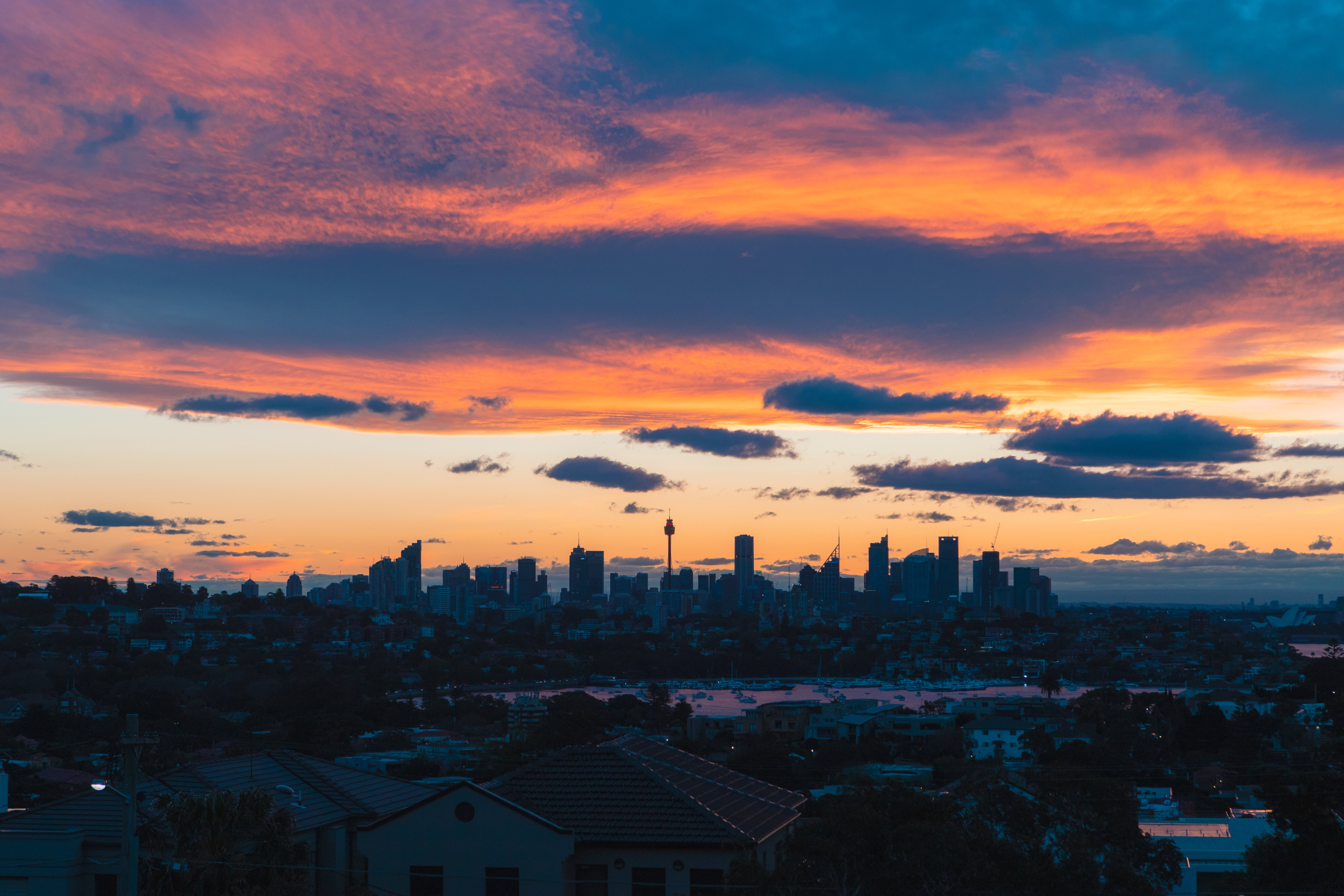 Hokku Designs Derrious Sydney Skyline Dusk On Canvas Photograph | Wayfair