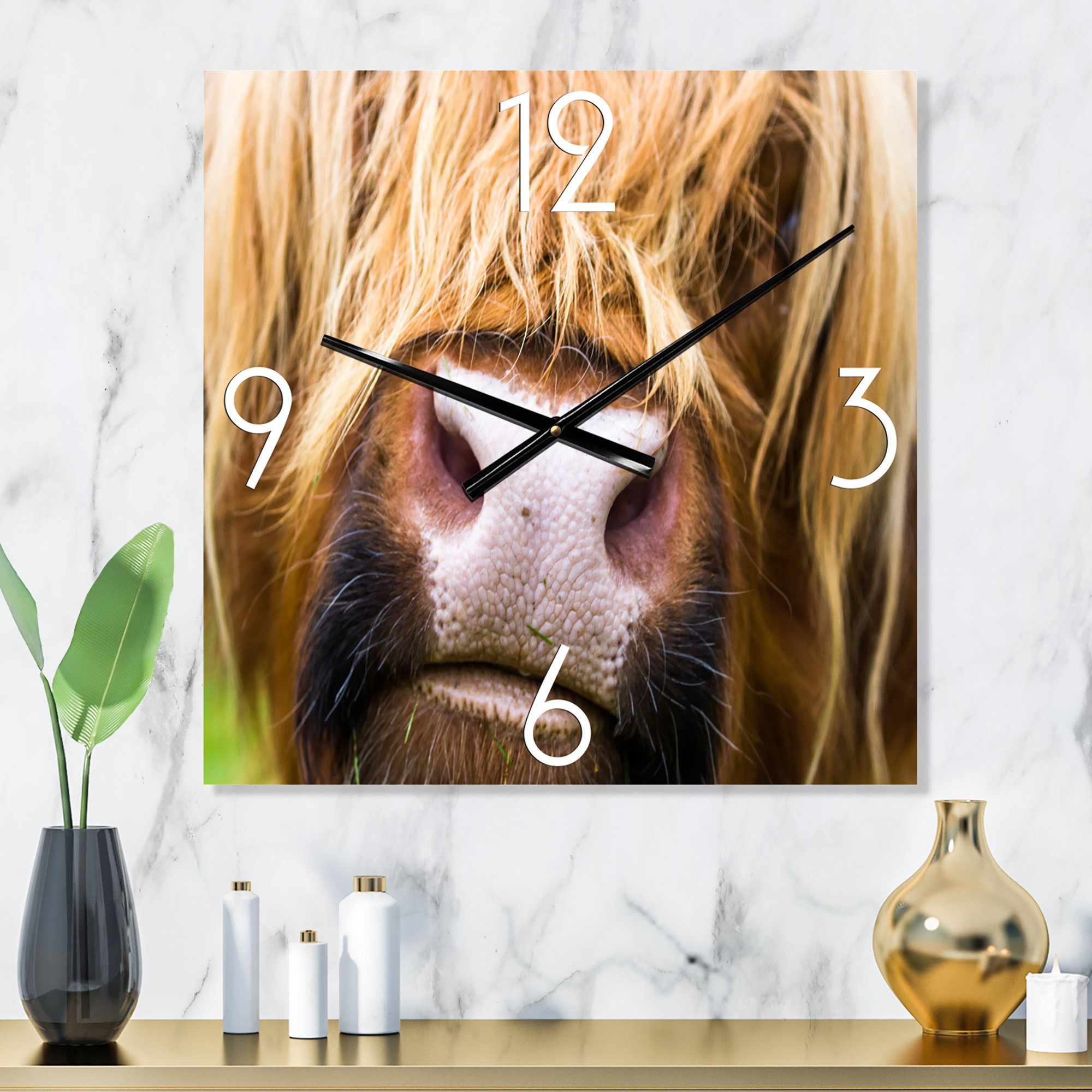 East Urban Home Close-Up Highland Cattle In Scotland - Farmhouse Wall ...