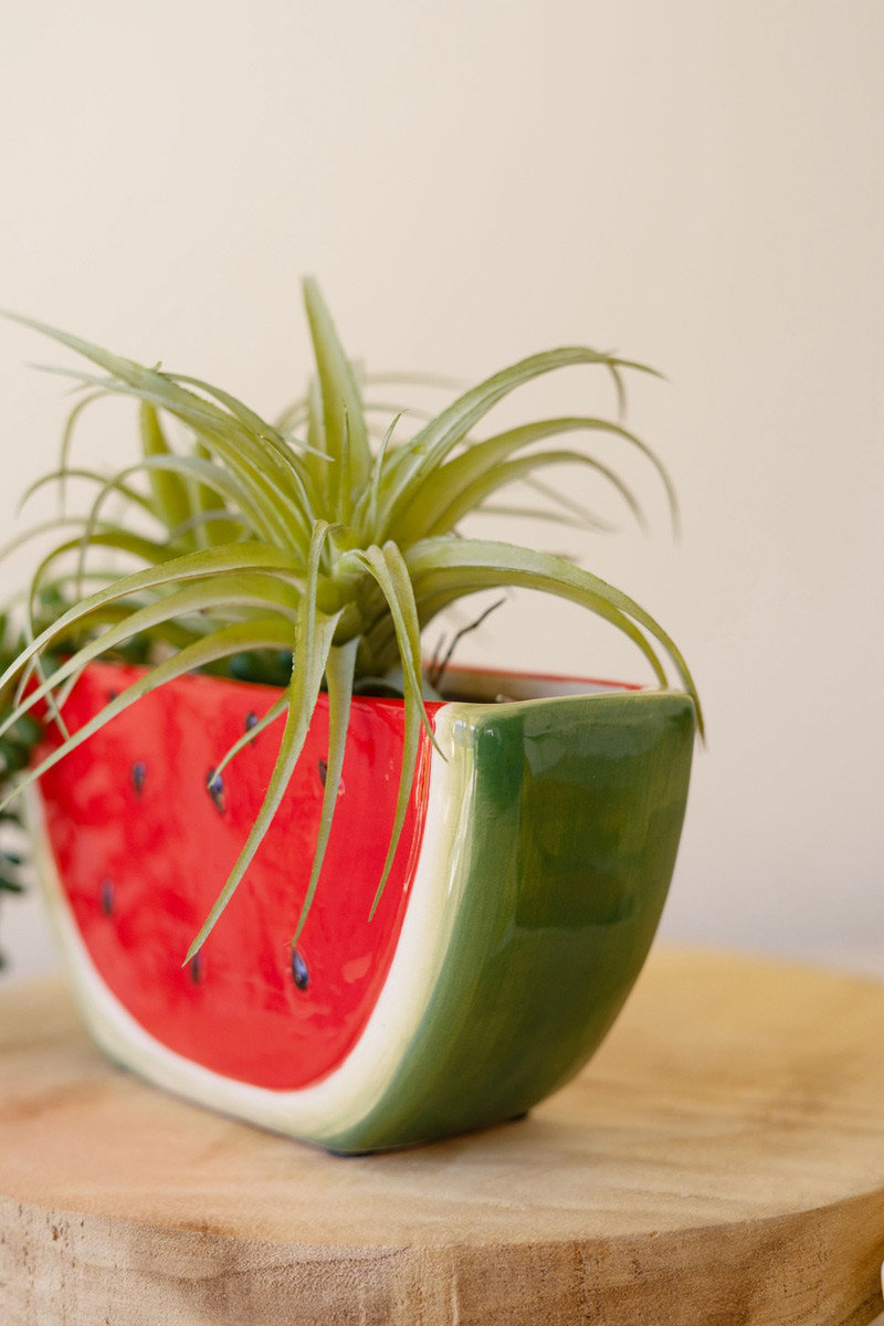 Trinx Ceramic Watermelon Slice Planter | Wayfair