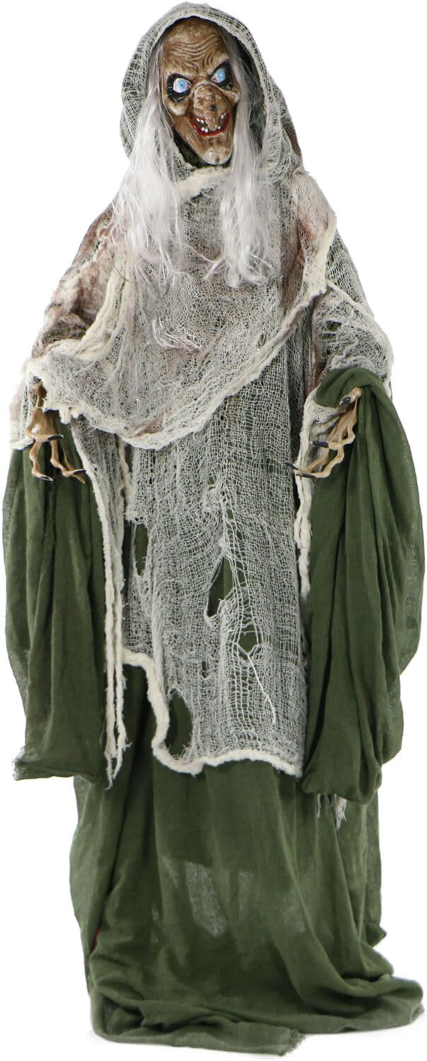 The Holiday Aisle® The Farm Animatronic Scary Witch Door Greeter with ...