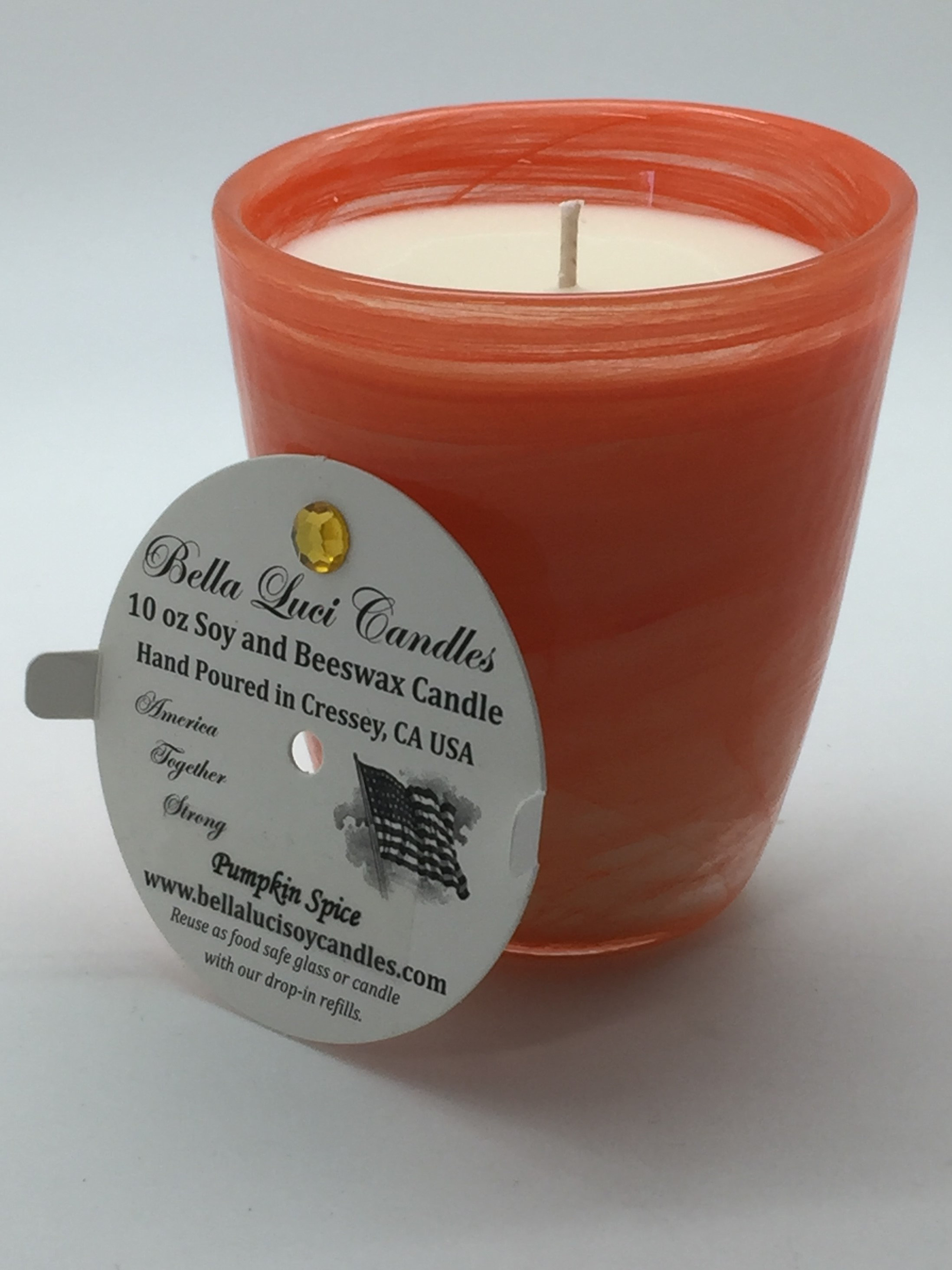 Bella Luci Candles Llc Pumpkin Spice Scented Jar Candle Wayfair