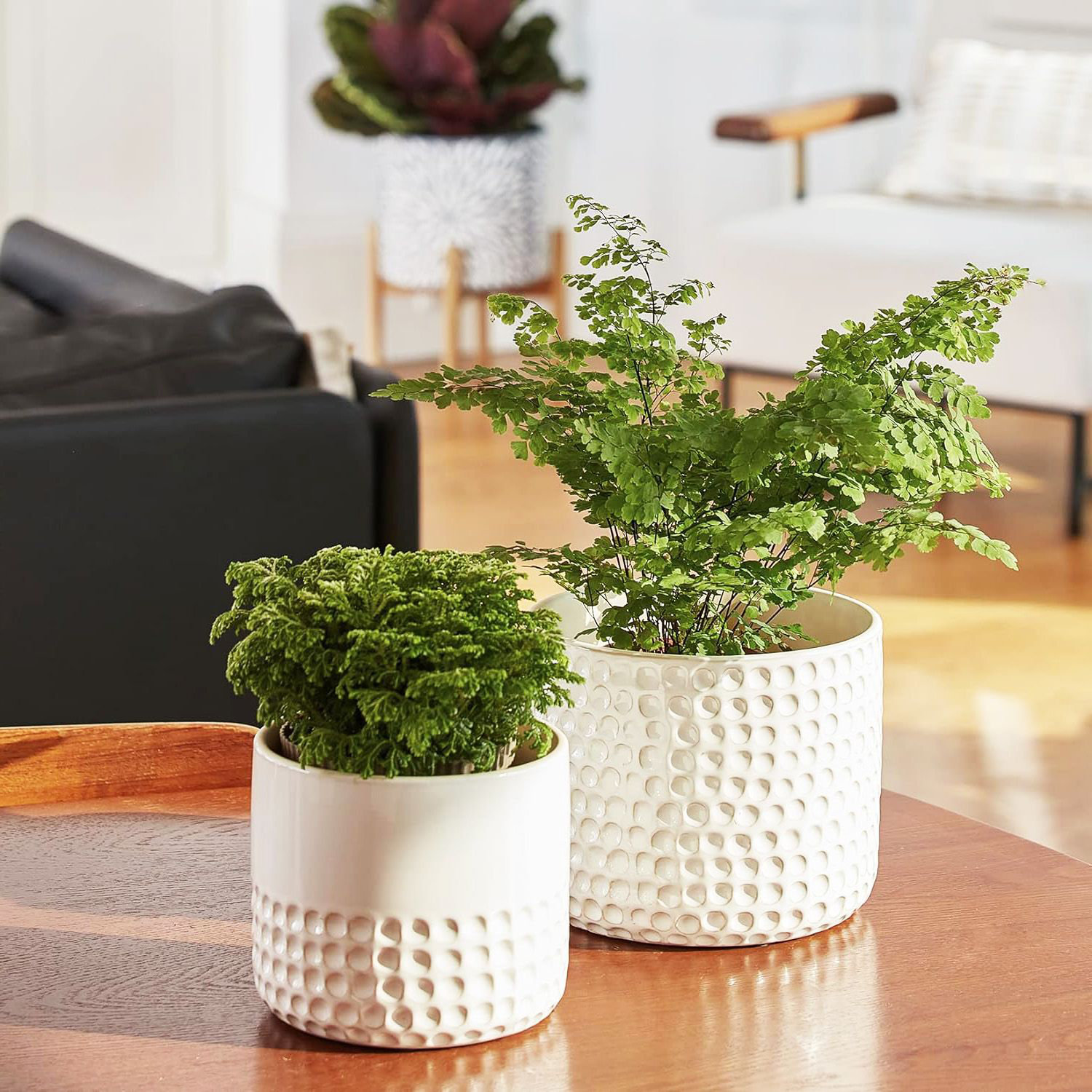 Wrought Studio 6.7+5.5 Inch Concave Dot Patterned Cylinder Flower Pot W ...