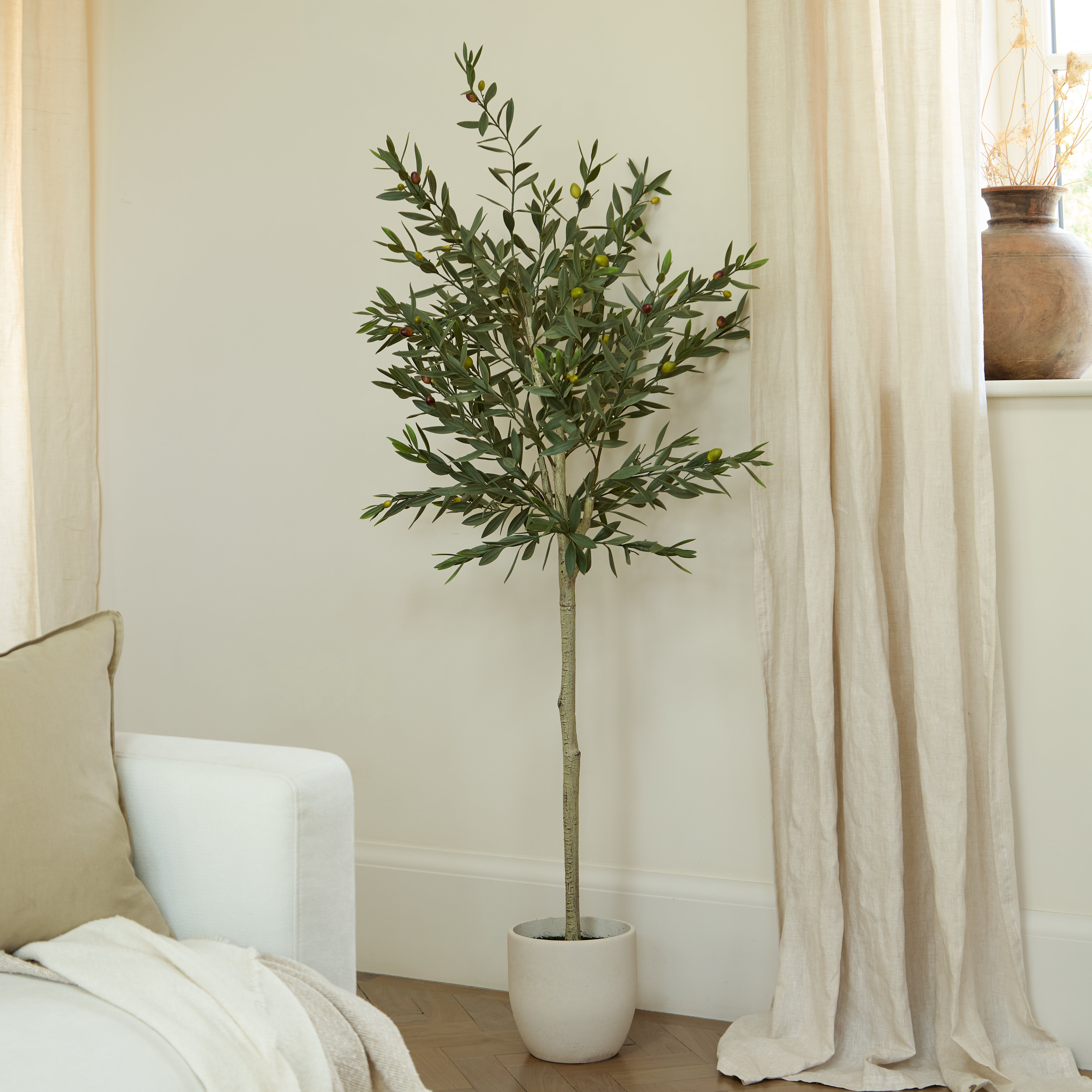 The Seasonal Aisle Olive Tree in Cement Pot - 157cm | Wayfair.co.uk