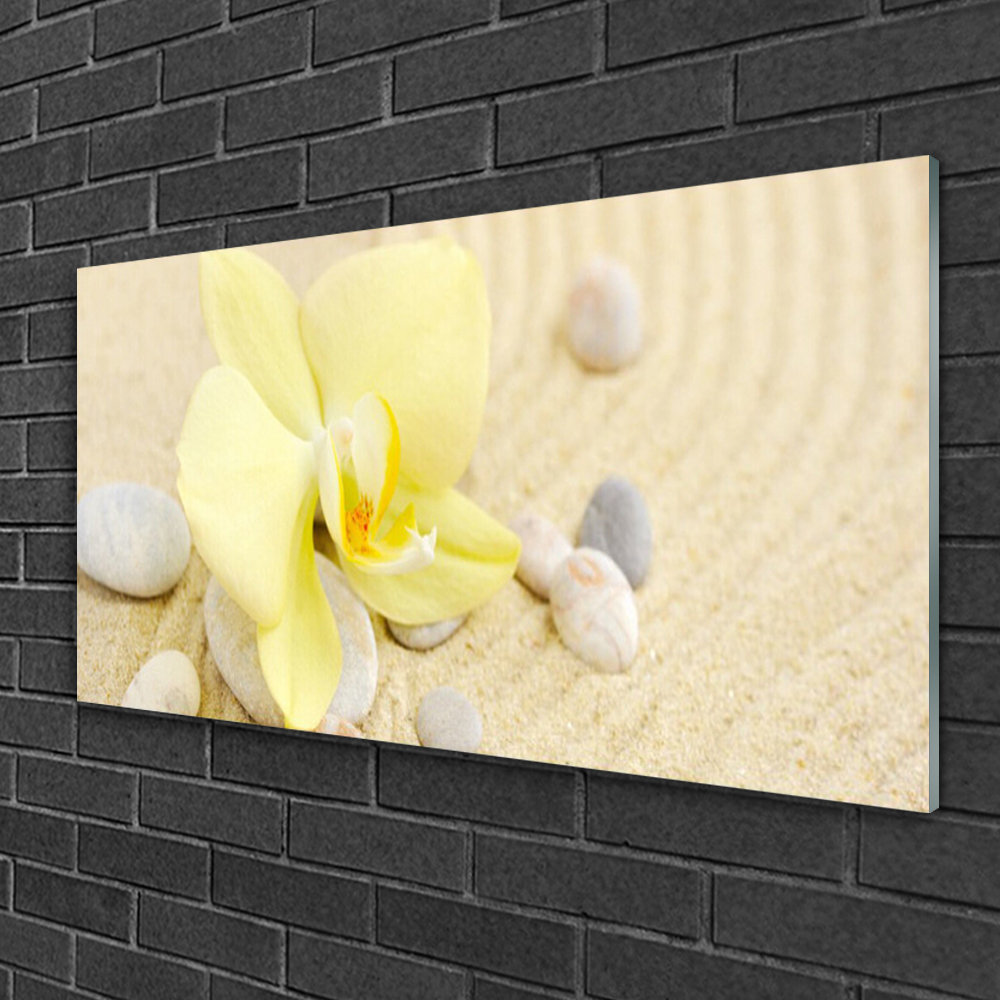 Brayden Studio Floral Flowers - Unframed Photograph on Glass | Wayfair ...