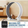 Blue Elephant 45'' Cat Exercise Wheel for Indoor Cats, Large ABS Cat ...