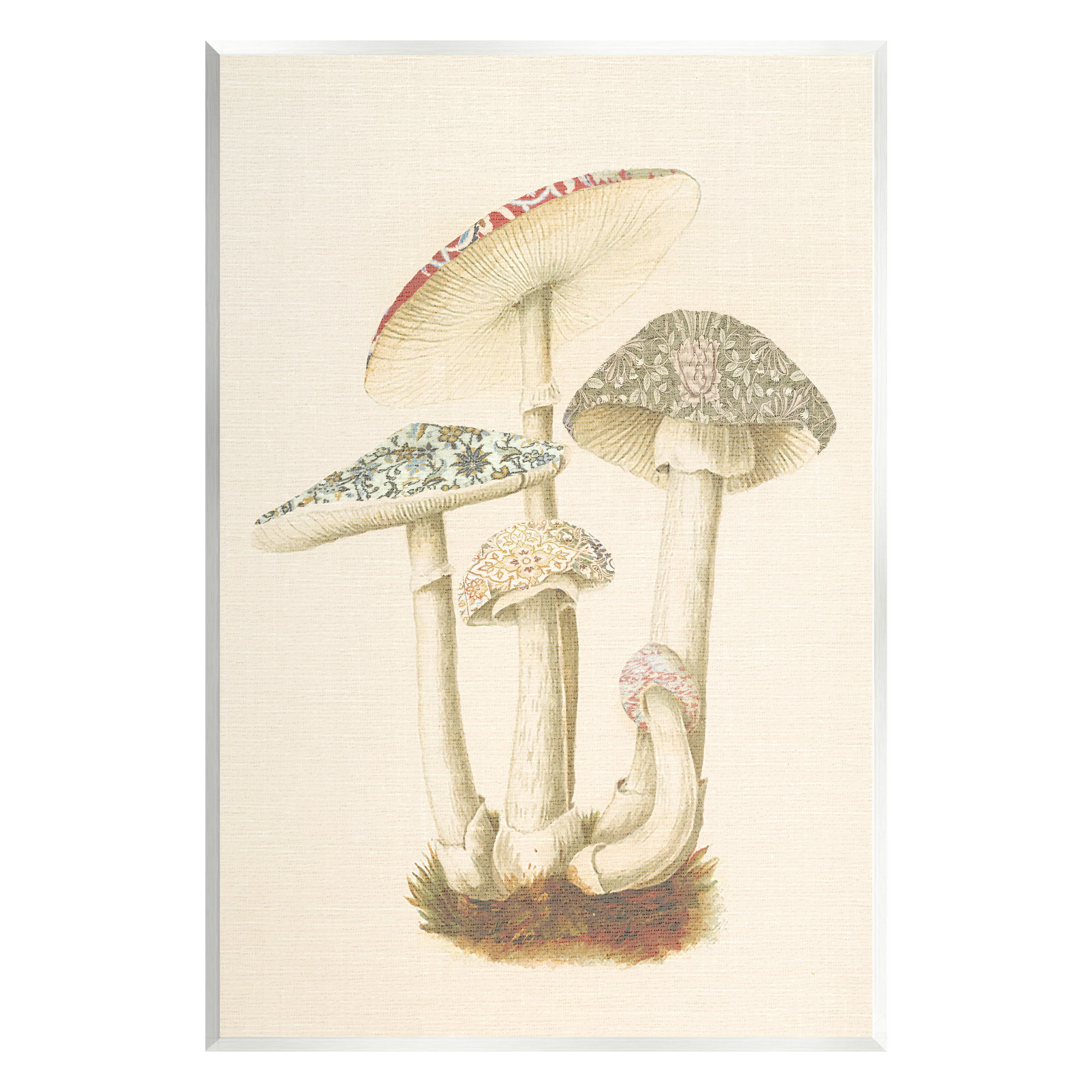 Stupell Industries Bb-757-Wood Vintage Mushroom Study On MDF Print ...