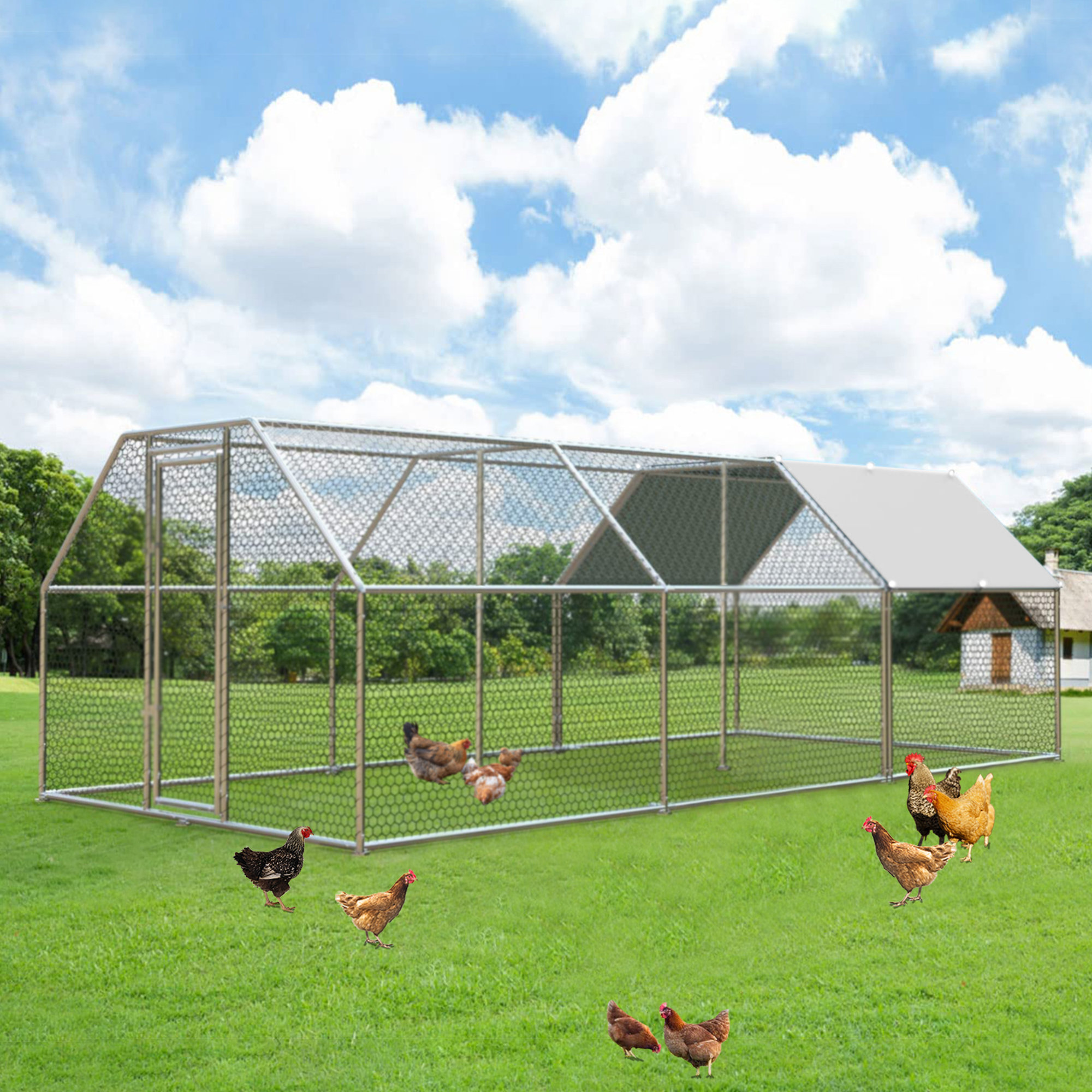 Tucker Murphy Pet™ Walk In Flat Top Chicken Coop With Roof & Reviews - Wayfair Canada