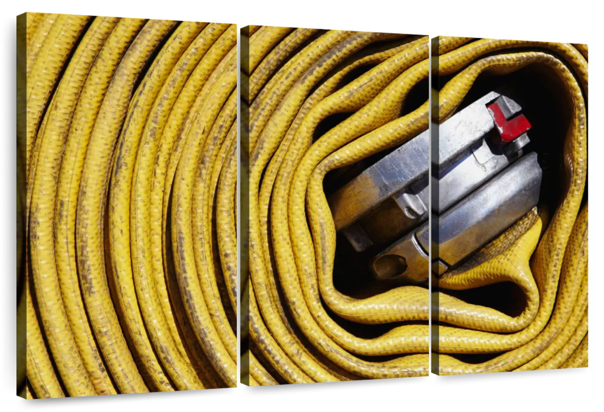 Elephant Stock Coiled Fire Hose | Wayfair