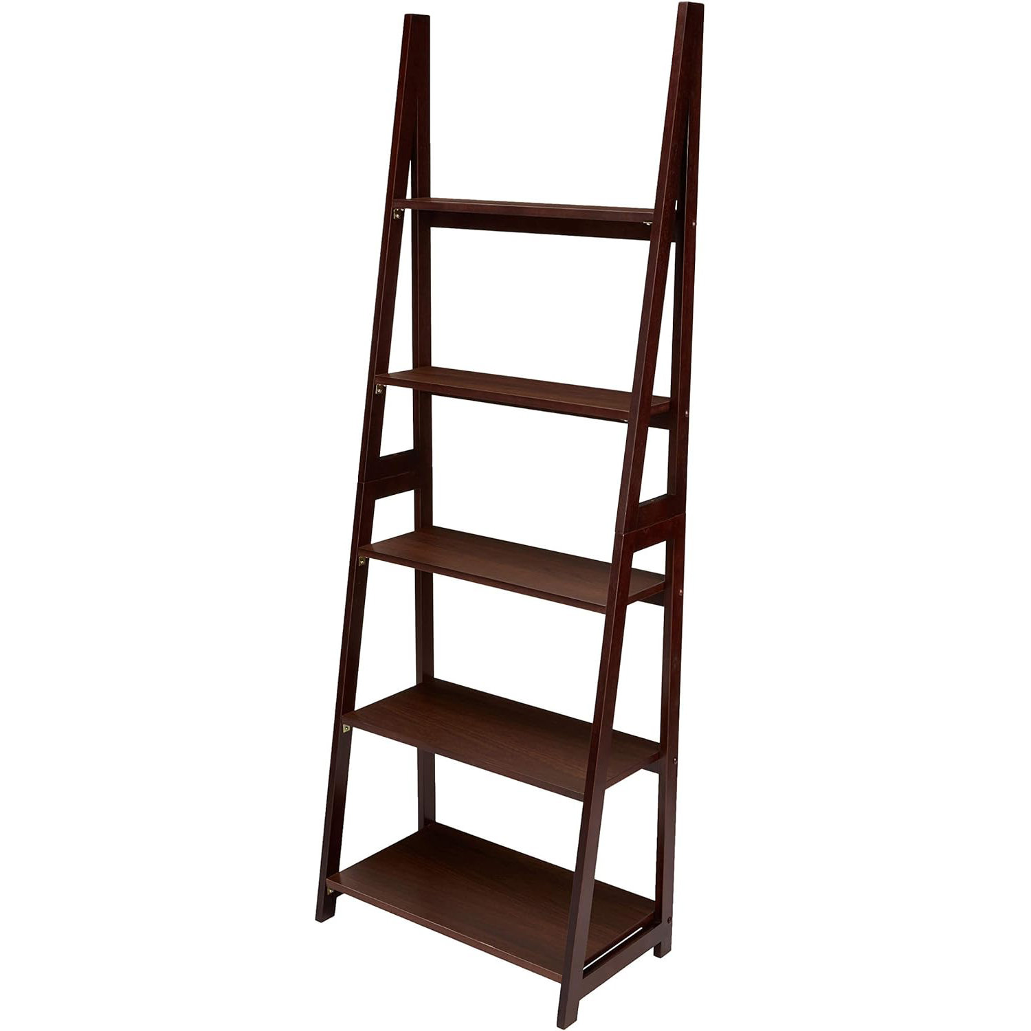 Latitude Run® Bayuk Ladder Bookcase | Wayfair