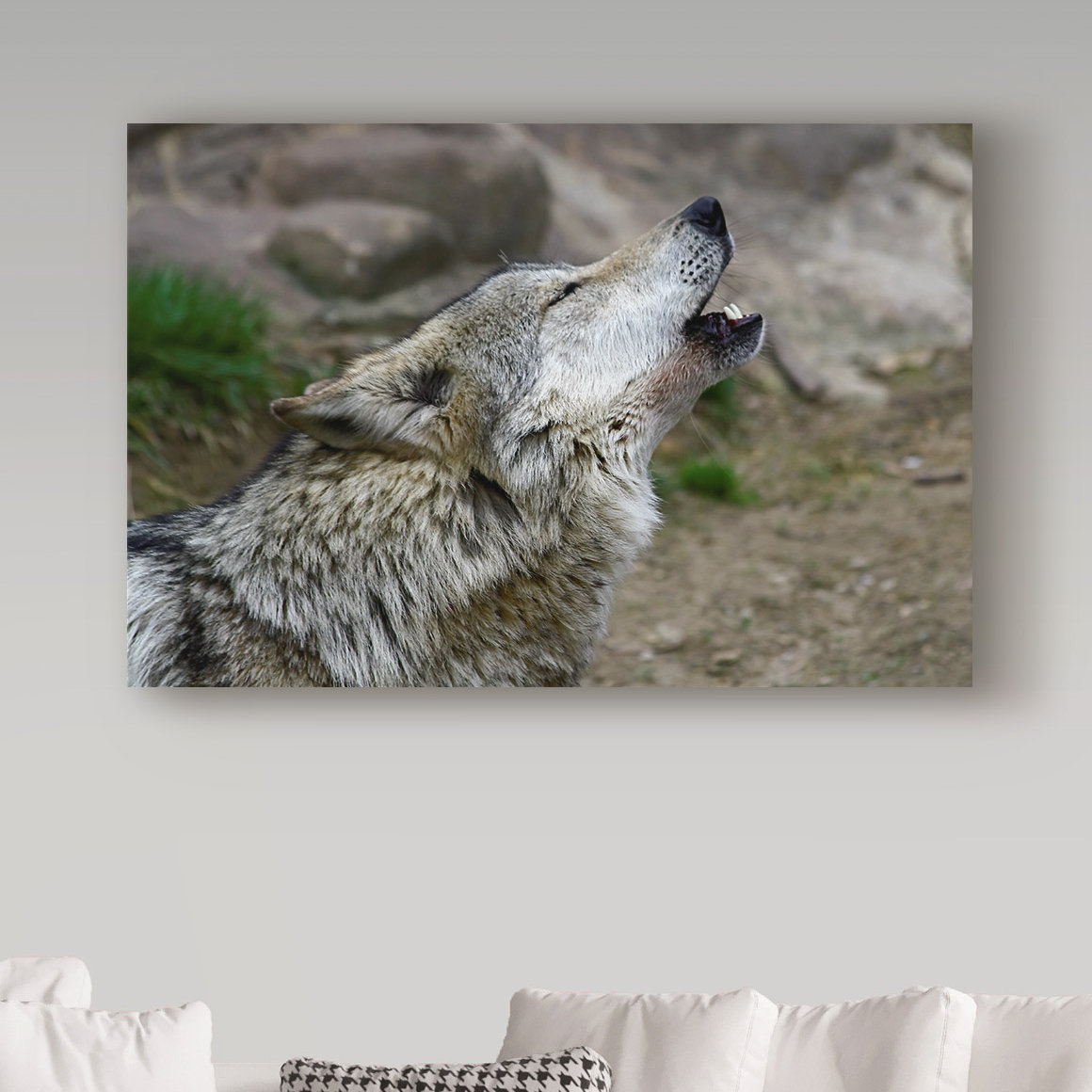 Mexican Wolf Howling
