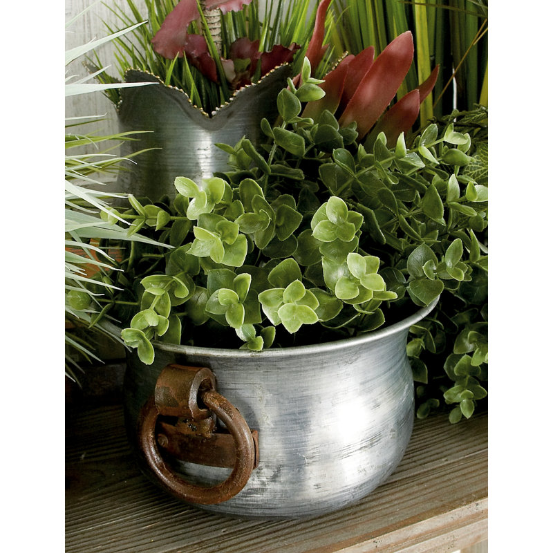 Gracie Oaks Asine Iron Pot Planter Set & Reviews | Wayfair
