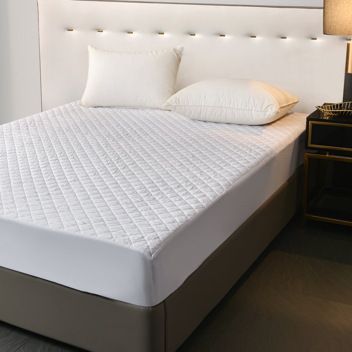 Alwyn Home Casmalia Waterproof Fitted Mattress Protector Mattress ...