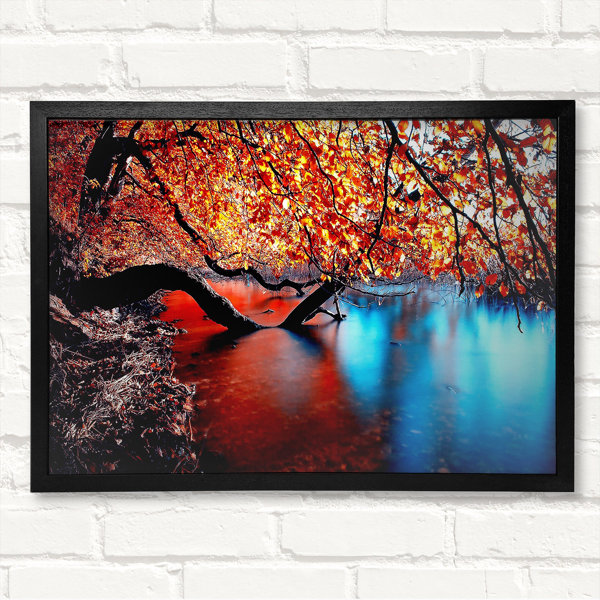 Union Rustic Tree Branches Over The Lake - Single Picture Frame Print ...