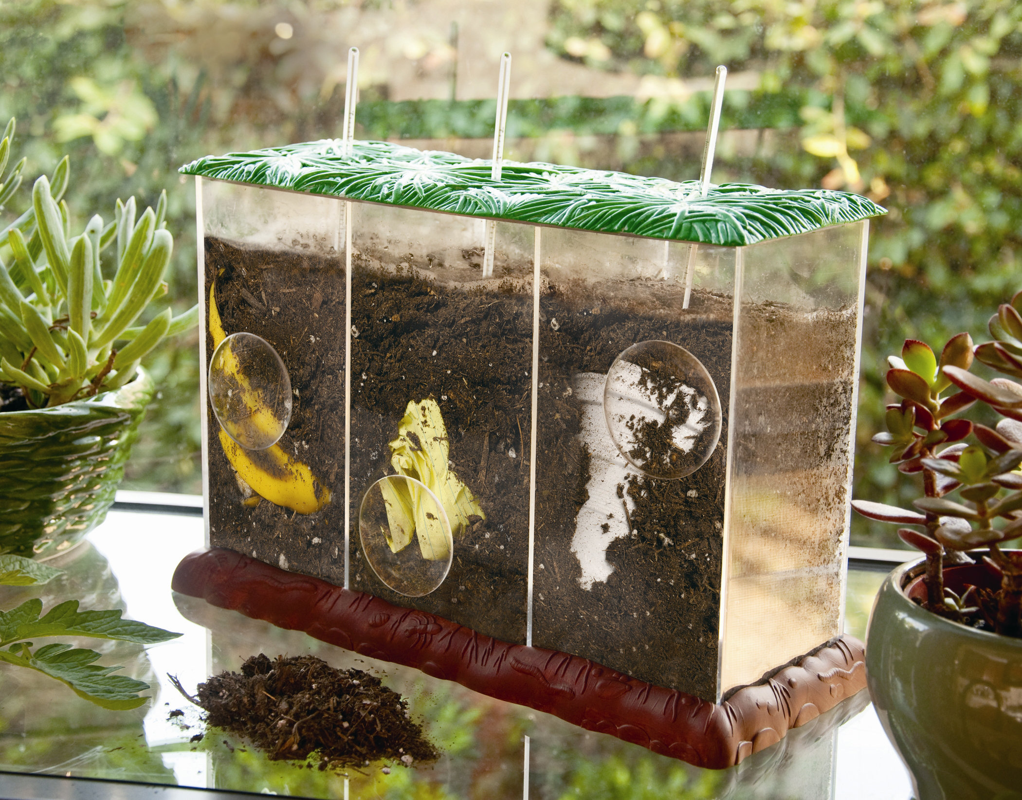 Educational Insights See-Through Compost Container | Wayfair