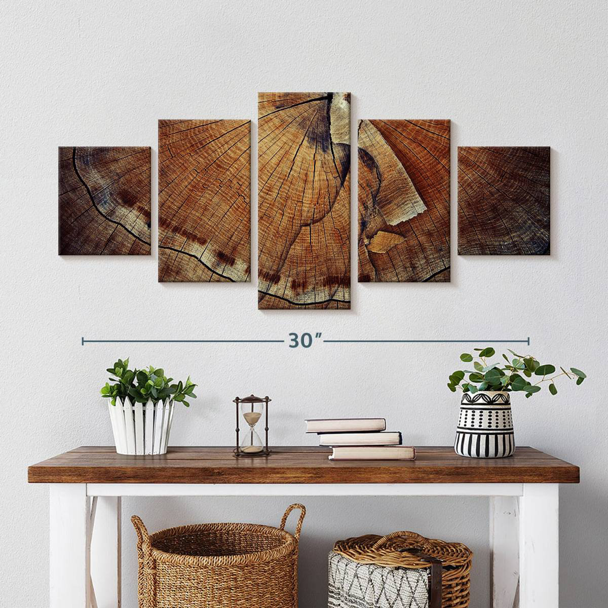 Latitude Run® Tree Ring Texture - Wayfair Canada