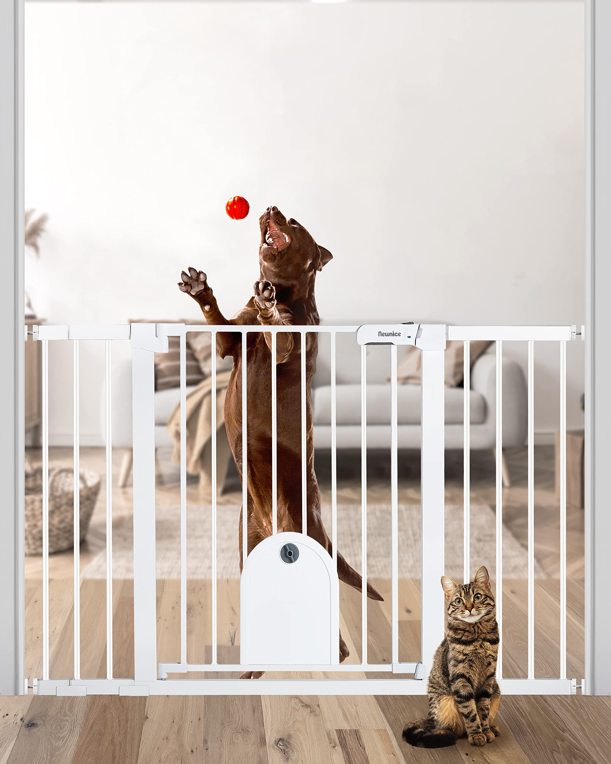 NATIONAL WINDOW 29.7-51.5 Inch Extra Wide Baby Gate With Kitten Gate, Auto Close And Easy Pass ...