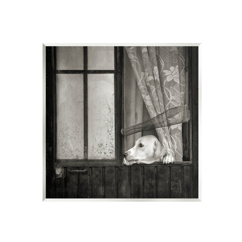 Stupell Industries Labrador Dog Farmhouse Barn Door Wall Plaque Art By ...